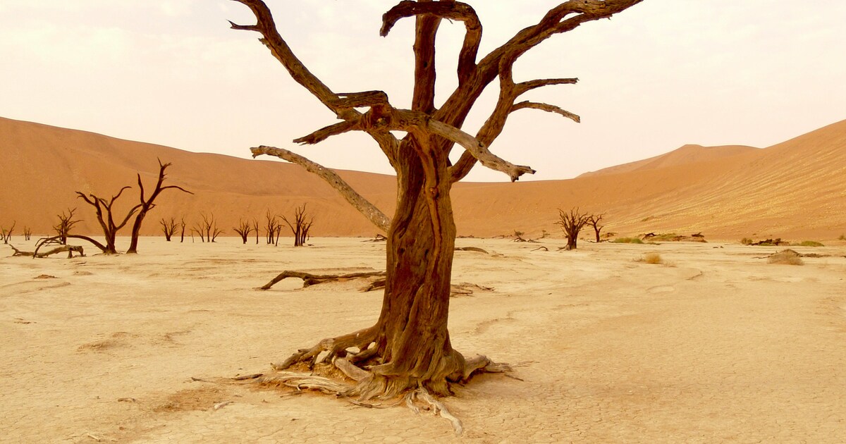 Input: Harnessing indigenous knowledge in combating cl... | Koru ...